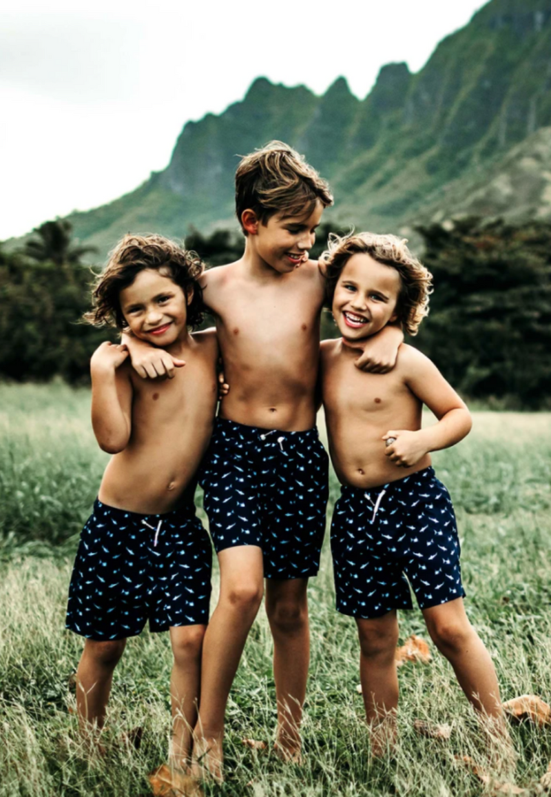 Cold Spring General Store