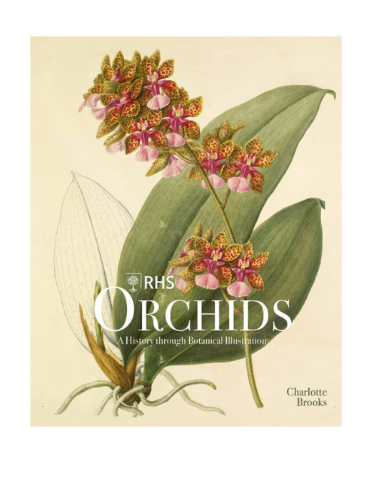 Orchids - A History Through Botanical Illustration - Book - Cold Spring ...